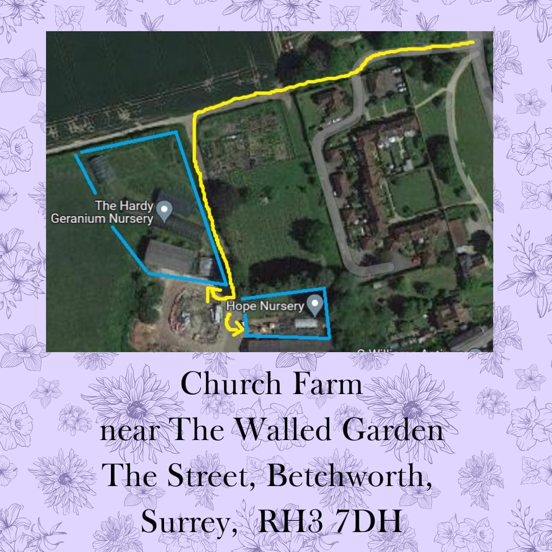 Open Days • The Hardy Geranium Nursery